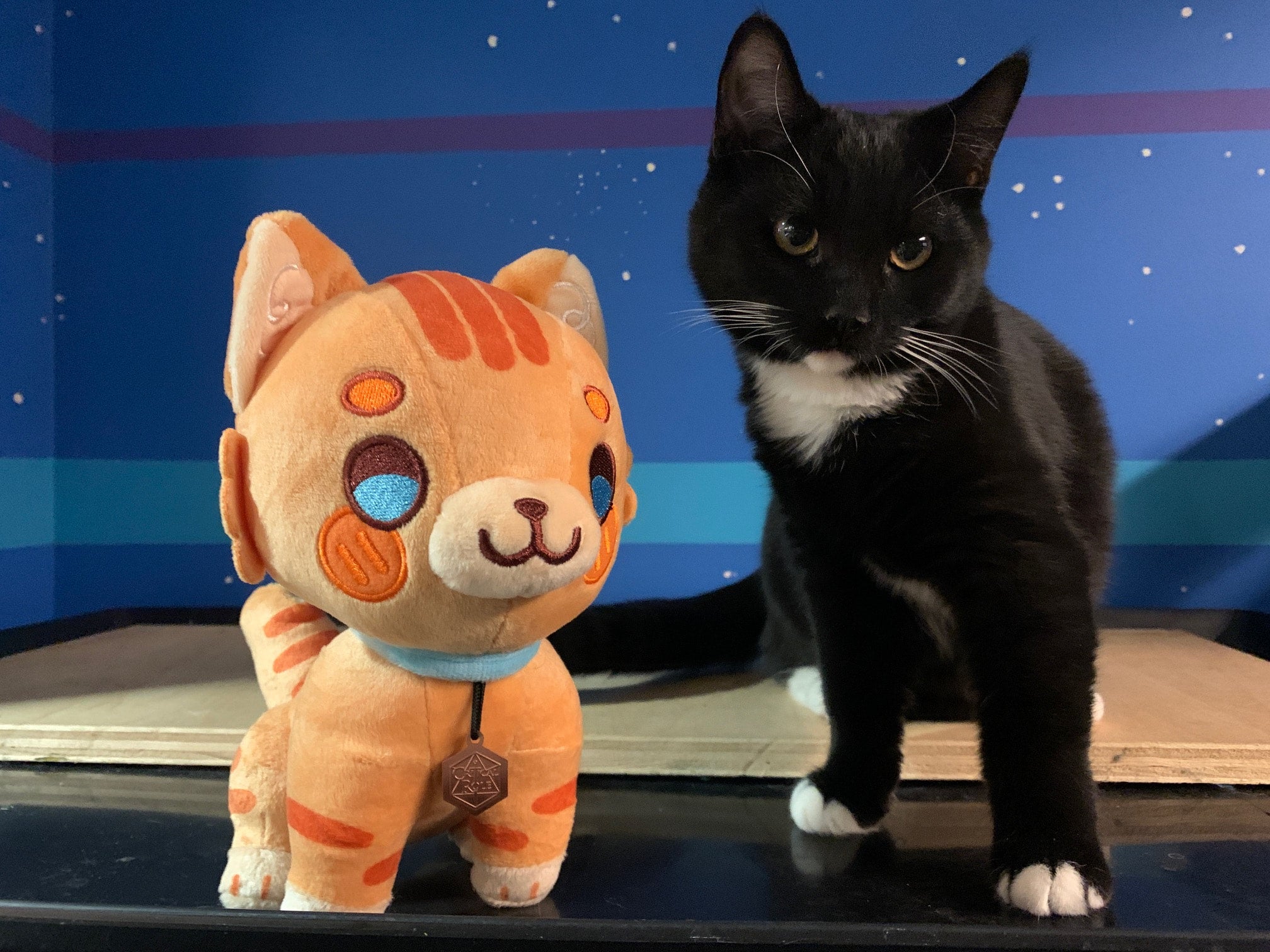 Critical Role: Frumpkin Plushie | Geeky Teas & Games, Inc.